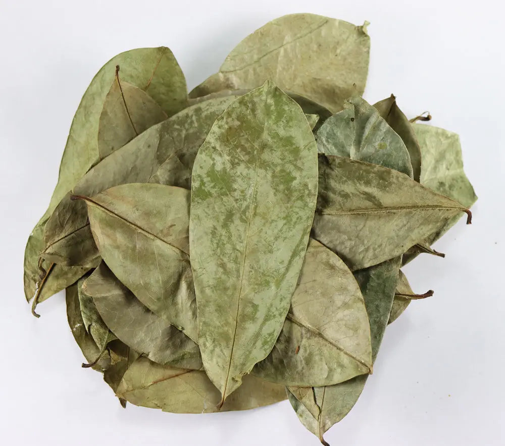 Organic Soursop Leaves